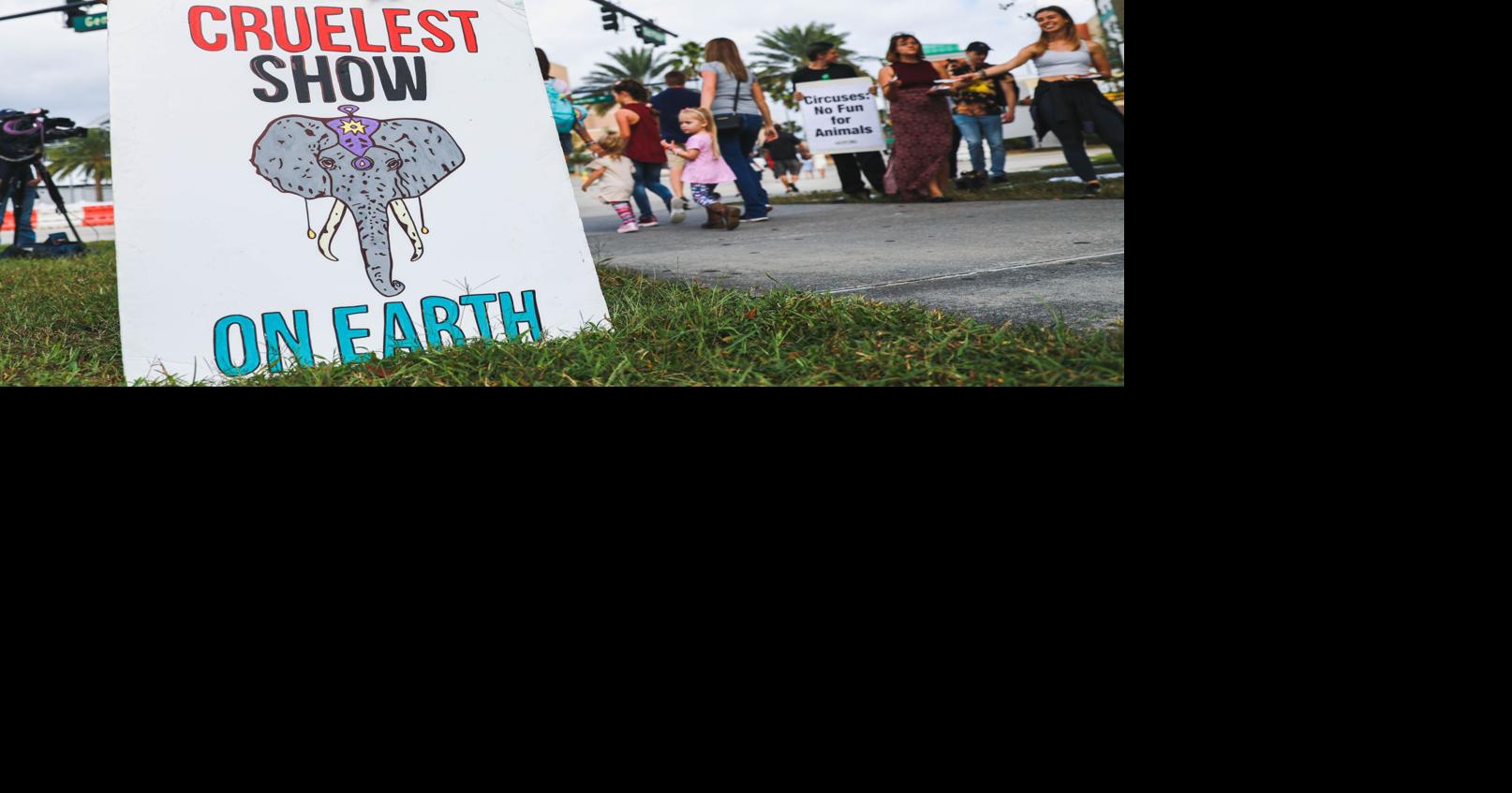 Animal welfare activists protest circus days after SGA resolution ...