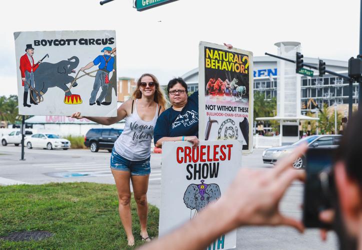 Photos: Animal welfare protest transpires days after resolution passes ...