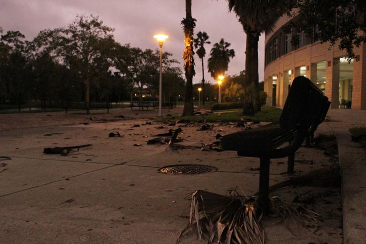 Photos: Minor damage at UCF following Hurricane Matthew | Multimedia ...