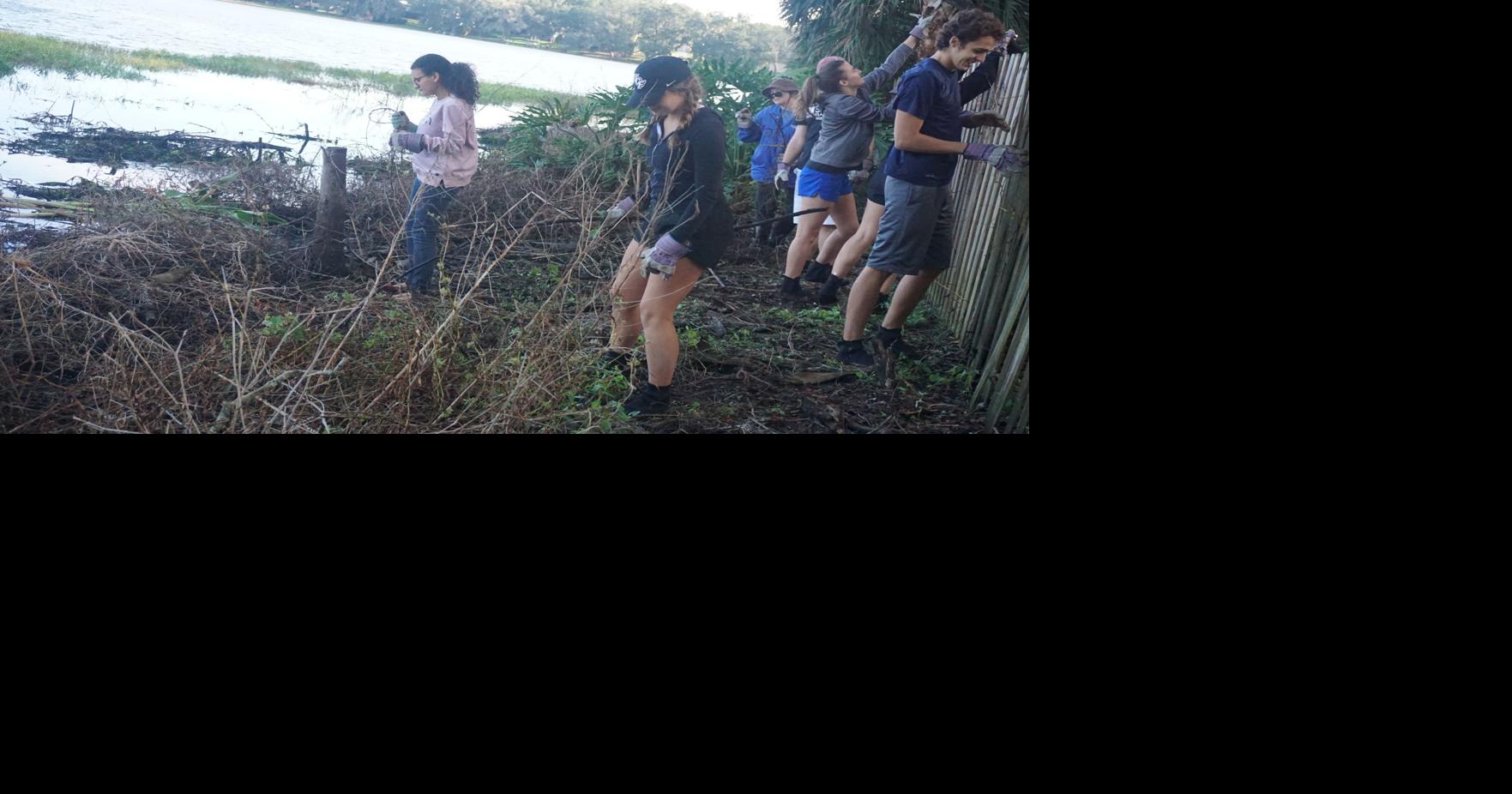 UCF volunteers get their hands dirty to restore, bring fresh life to ...