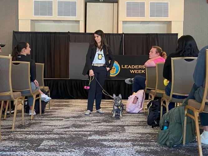 Going the Extra Mile: UCF Detective Becker and therapy dog Luna seek ...