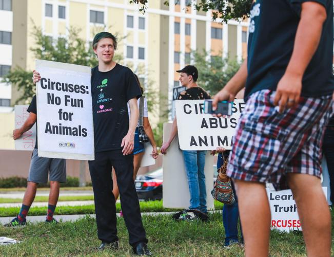 Photos: Animal welfare protest transpires days after resolution passes ...