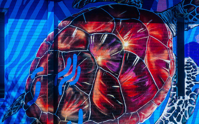 Talking Walls Produces Murals Across Charlotte | Arts And Entertainment ...