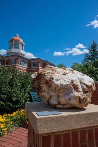 UNC Charlotte campus traditions | Arts And Culture | ninertimes.com