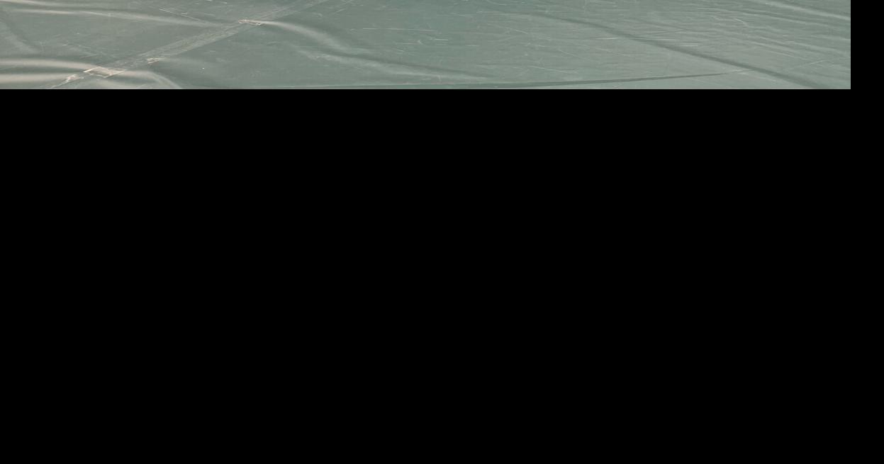 Charlotte Sports Analytics Club provides opportunities for students to ...