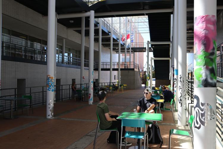 Landscape meets art: The Colvard Passageway mural construction | News ...