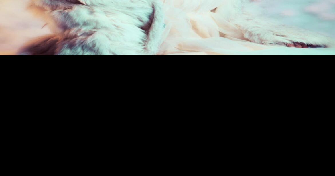 Humans of UNC Charlotte: Ava Lockhart manages going to school while ...