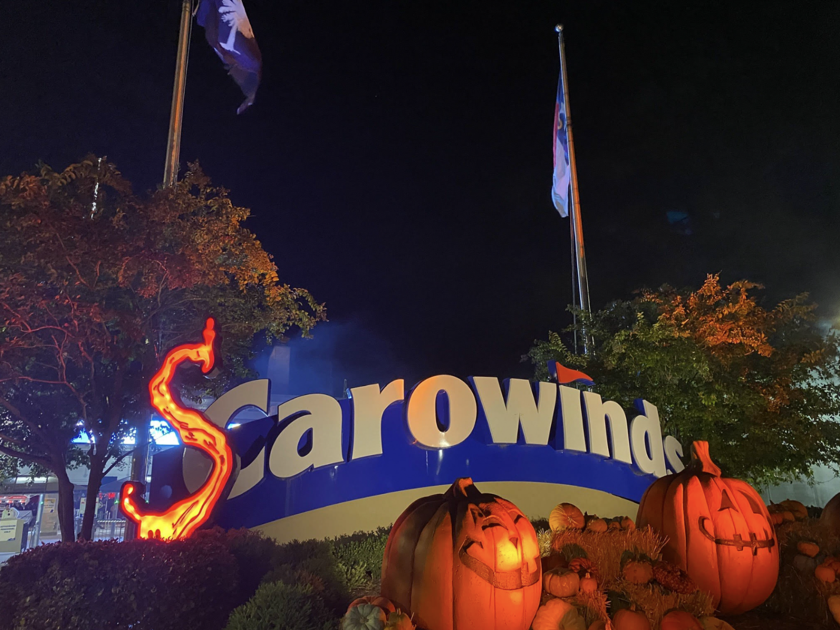 Fall festivals to look for in the Charlotte area this season | Arts And ...