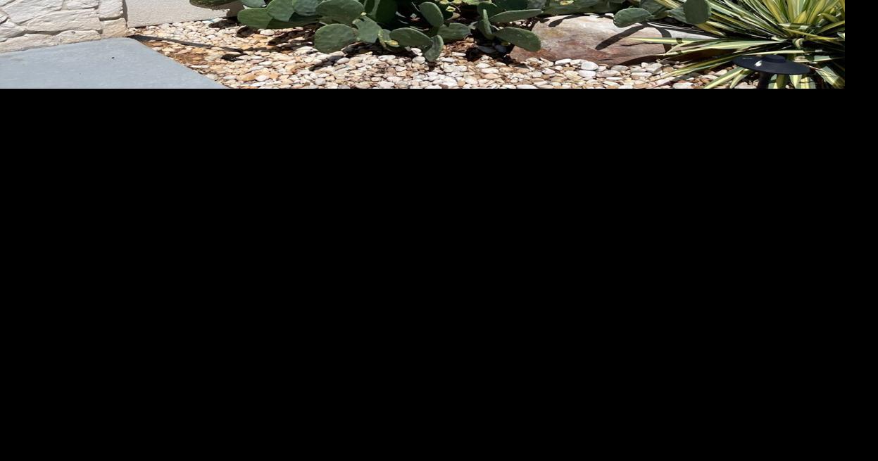 Hello, Sailor Restaurant Review | Arts And Culture | ninertimes.com