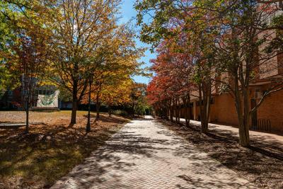 Campus pantry staffer discusses food insecurity, stigma at UNC ...