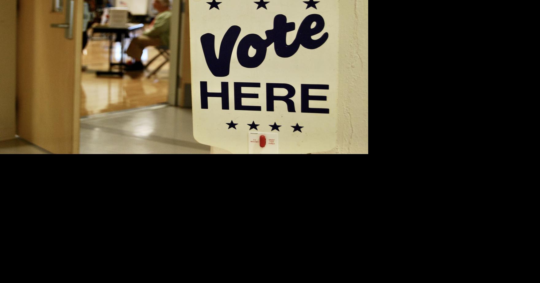Why minority voting matters | Opinion | ninertimes.com