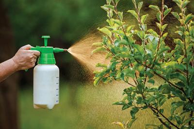 Organic Insecticides | Home & Garden | nmmarketplace.com