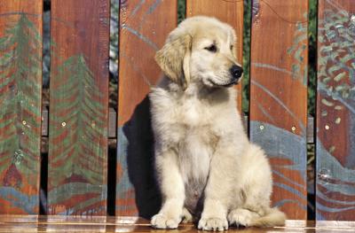 Correct the Behavior | Family Living | nmmarketplace.com