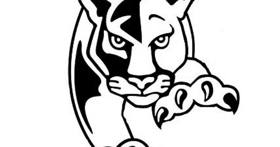 High school roundup: Host Belleville Henderson, General Brown prevail ...