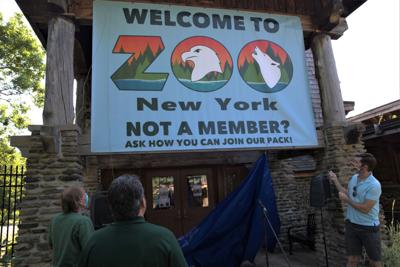 Watertown’s Thompson Park zoo will celebrate 100th anniversary in 2021 ...