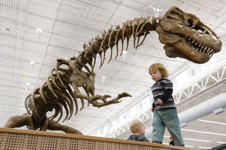 20-foot T. rex at Texas library brings past to life | Kidscontent ...