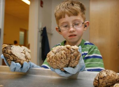 SLU Hosts Brain Blast | News | nny360.com