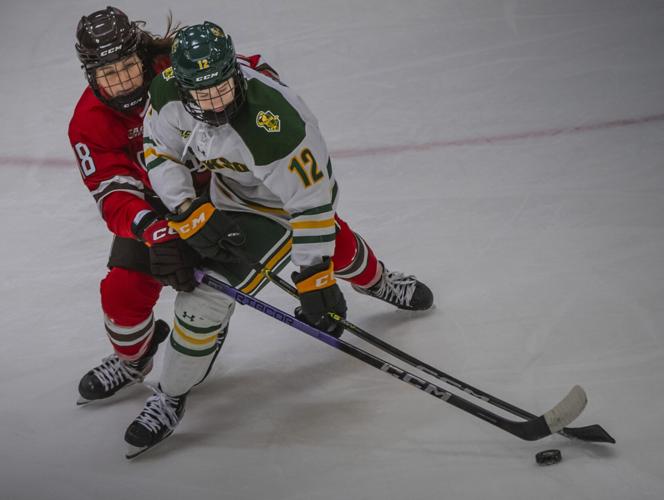 College women’s hockey: Clarkson surges past St. Lawrence before record ...