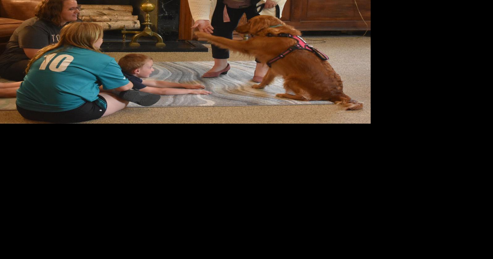 Grooming caring canines | Business | nny360.com