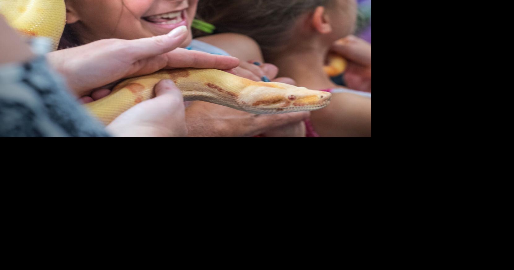 Lizard Lady shares love of reptiles with children in Potsdam program ...