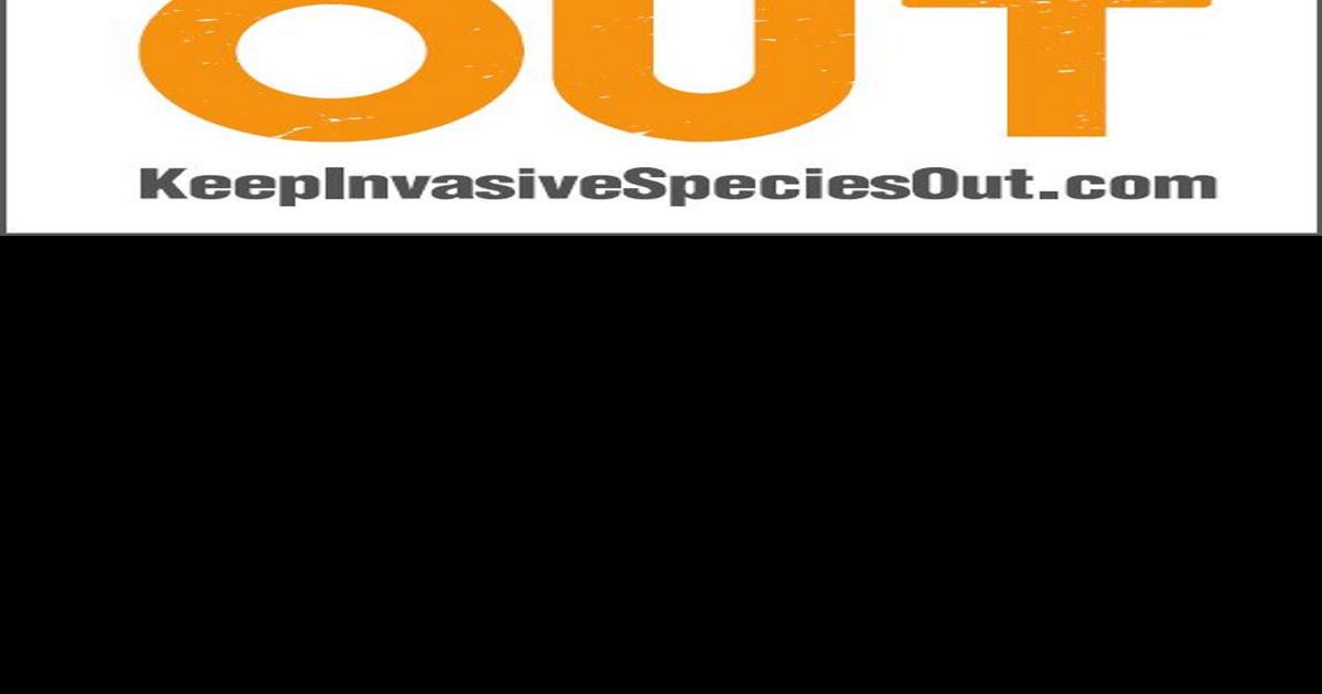 Campaign takes on incursion of invasive species | News | nny360.com
