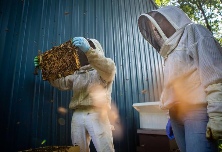 Beekeepers turn hobby into a honey-maker | Home and Garden | nny360.com