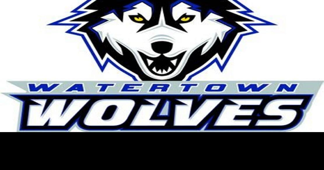 Local pro hockey: Wolves get off to encouraging start, but beaten by ...