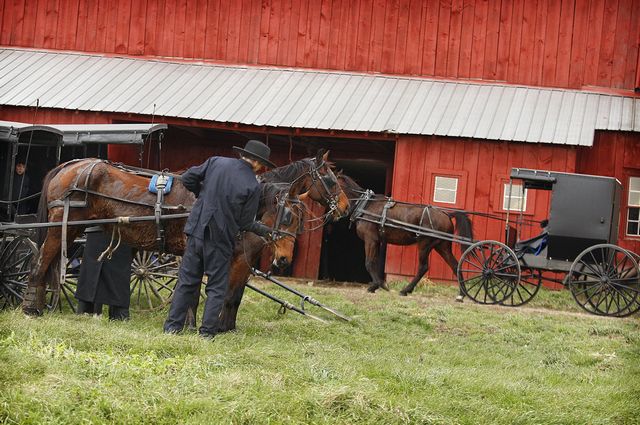Faith, Food & Fellowship: Rare Glimpse Of The Amish Life In The North ...