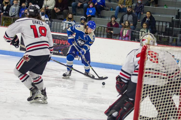 Local pro hockey: Mahfouz makes Wolves debut in win over Thunderbirds ...