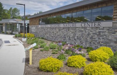 Massena Public Library, Nicandri Nature Center hosting Massena Hiking ...