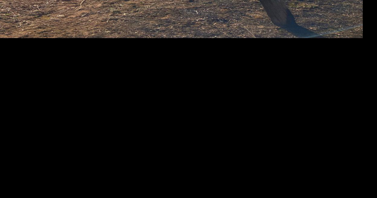 Very dry conditions spark two Lewis County brush fires and warnings for ...