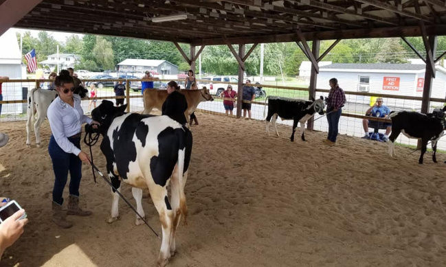 ‘Best Days Ever’ coming to Oswego County Fair Aug. 6-11 | Arts and ...