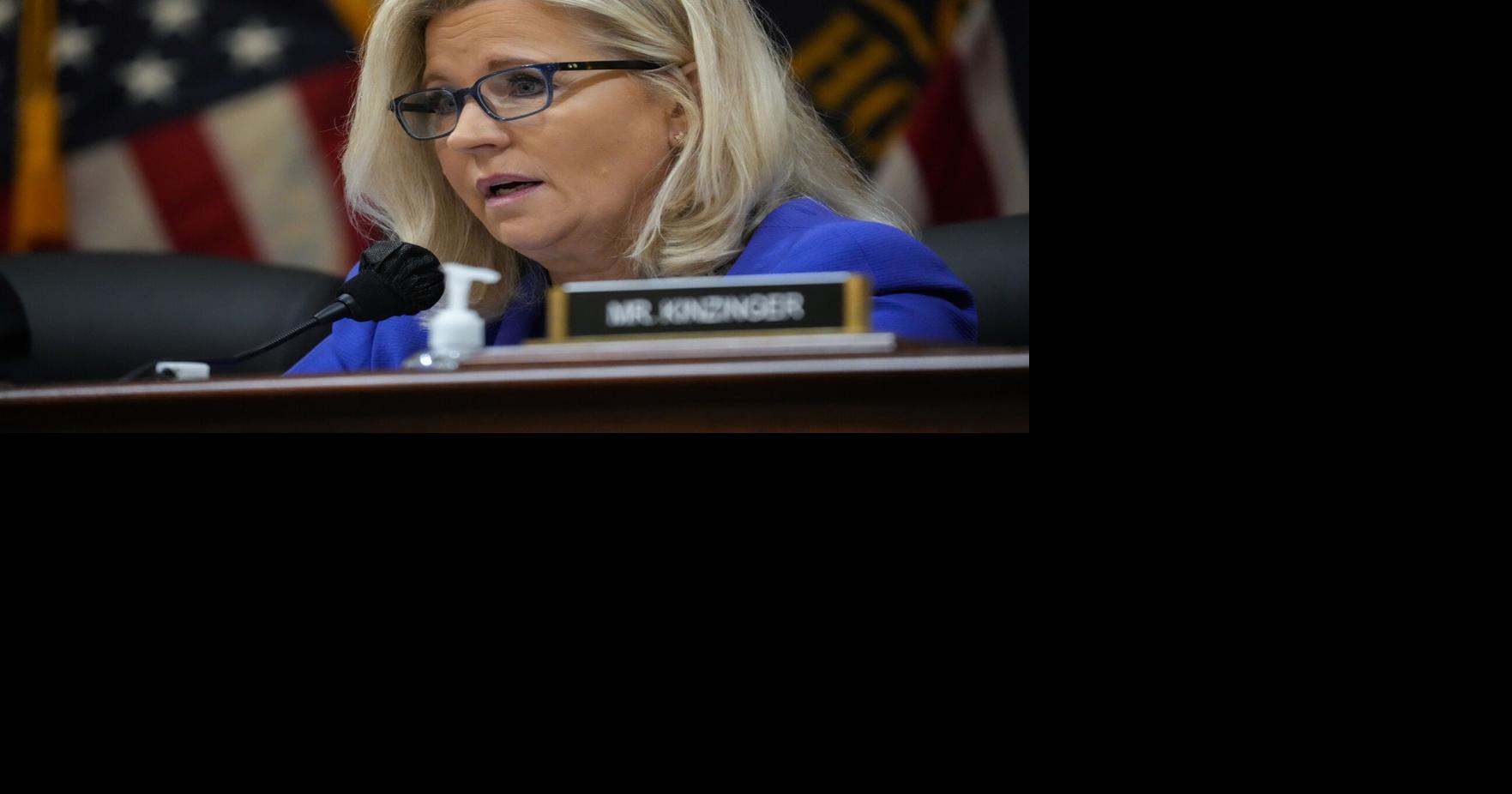 Martin Schram: Cheney lifts the rug, reveals GOP’s failures | Columns ...