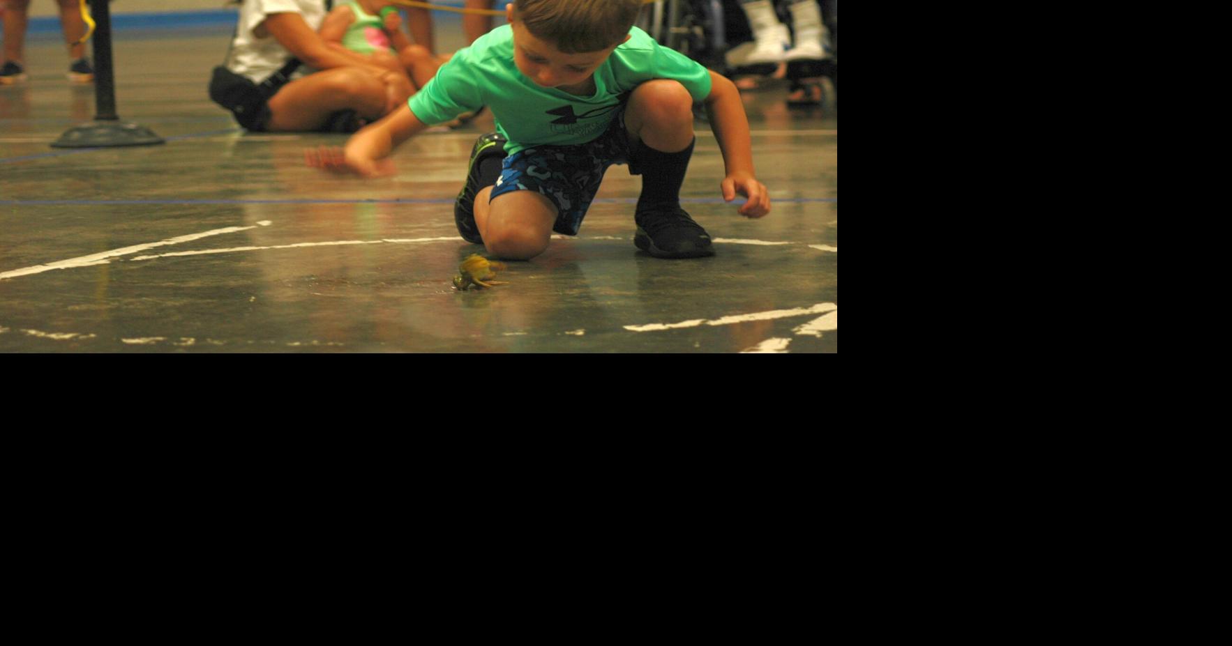 Speedy frogs highlight 2025 Boss Frog competition at Massena Arena ...