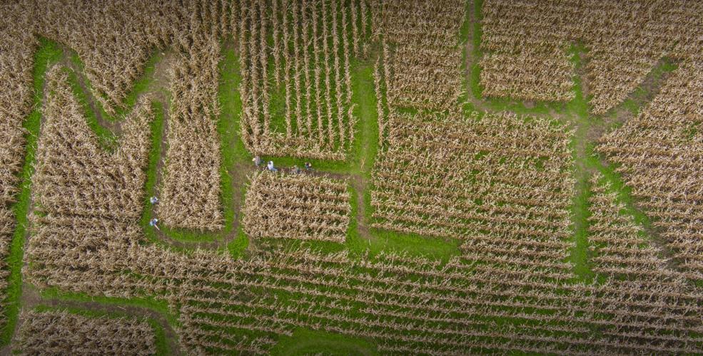 Halloween events planned in St. Lawrence County | Arts and ...