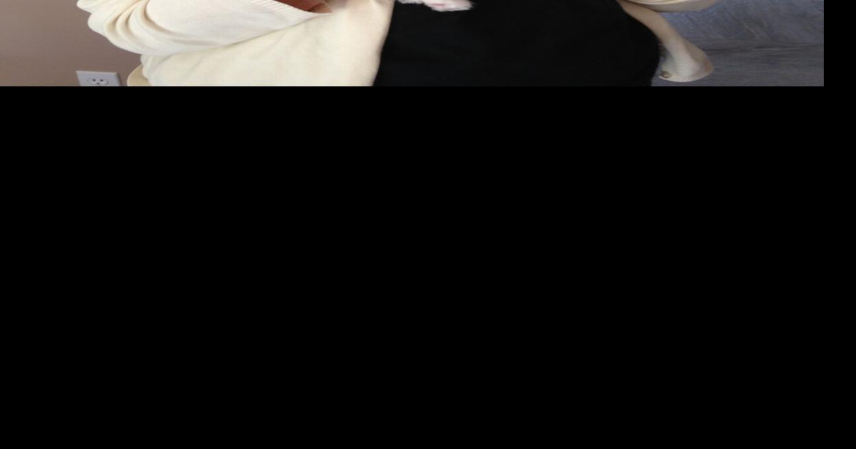 Susan Jackson Colligan | Obituaries | nny360.com