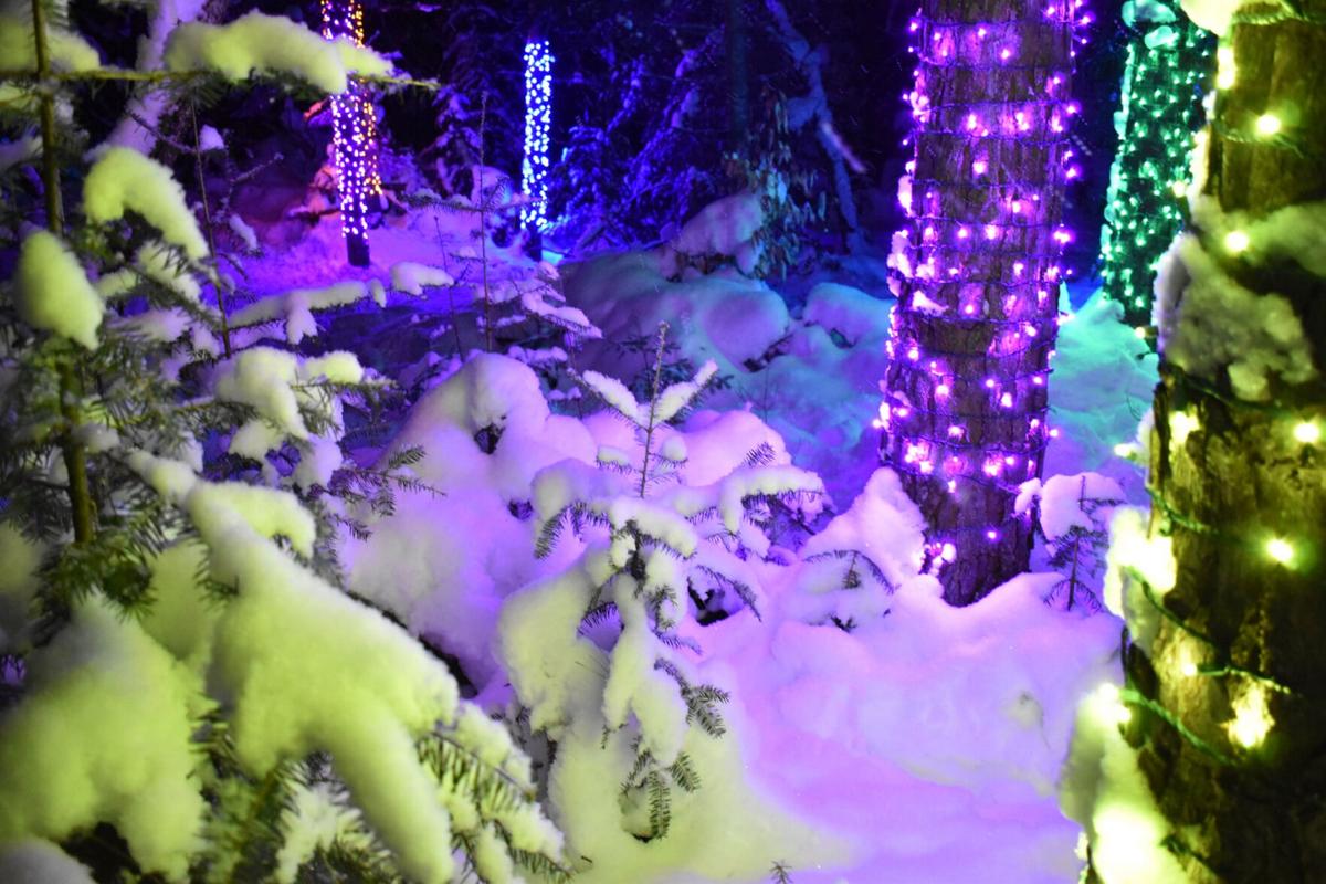 Wild Center’s Wild Lights open through ‘Winter Week’ | Kidscontent ...