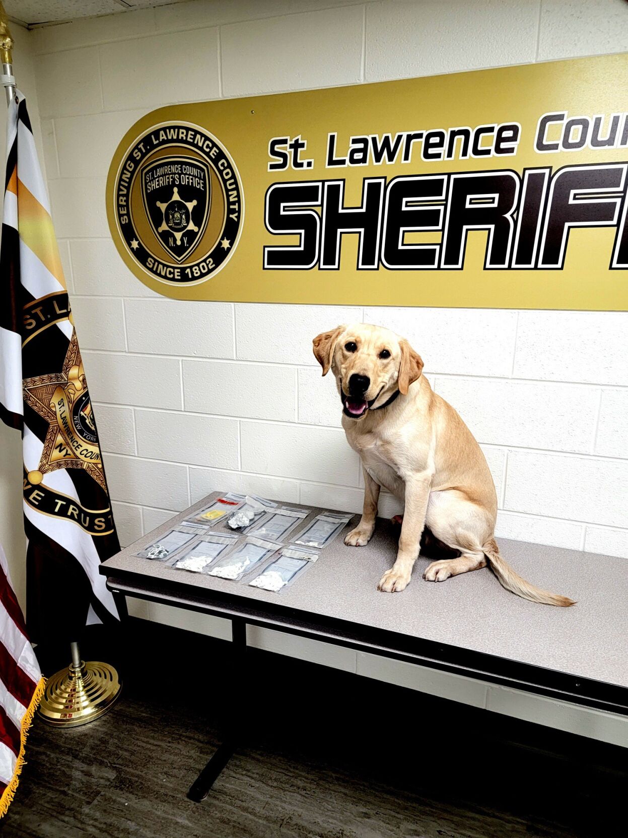 Two from Massena charged with possessing coke, fentanyl, with intent to ...