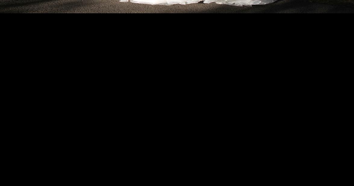 Chelsea E. Perrine and Joshua D. Hough | Arts and Life | nny360.com