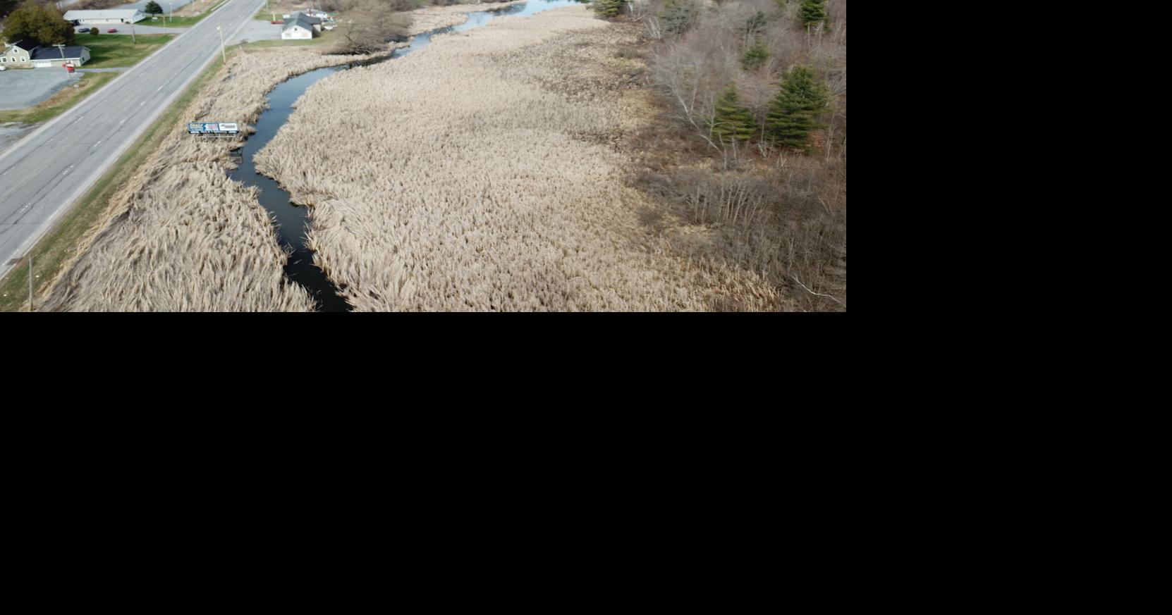 Excavators create pools for spawning habitats | News | nny360.com
