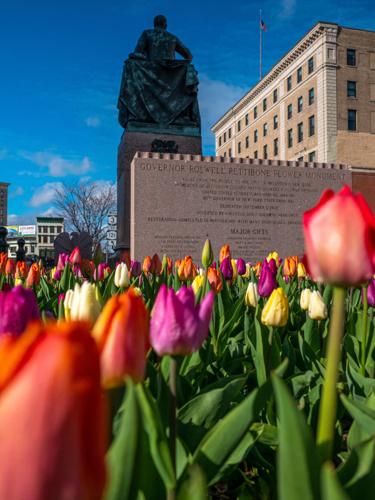Flower Monument’s tulip blooms welcome spring | Community Notes ...