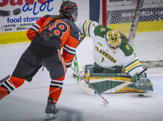 College roundup: Clarkson, St. Lawrence women each sweep ECAC Hockey ...