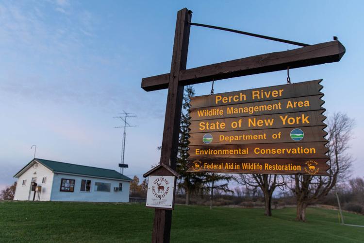 DEC completes $4.8 million water level project at Perch River wildlife ...