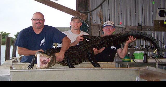 Gator Hunting Unique Venture For Vielhauer | News | nny360.com