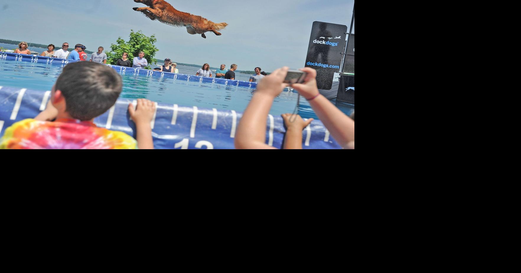 Dog jumping competition set at Agway | News | nny360.com