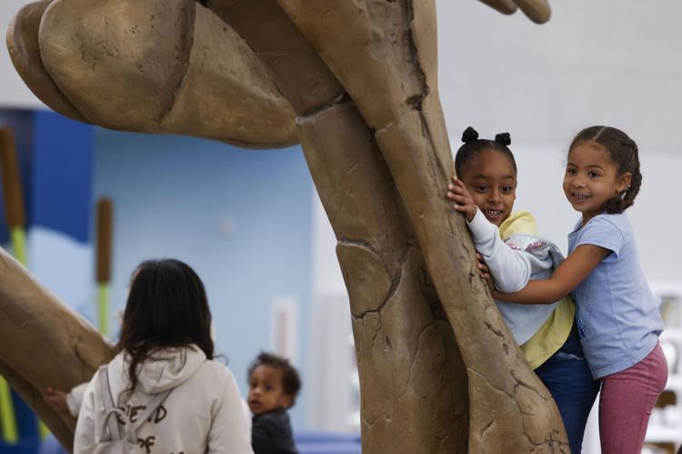 20-foot T. rex at Texas library brings past to life | Kidscontent ...