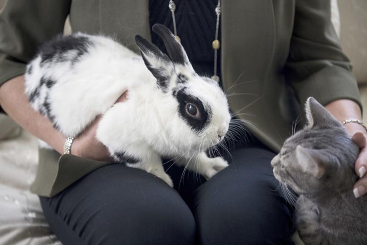 He’s BOTUS, and he has a new children’s book Vice president’s family’s ...