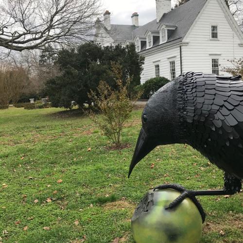 Crows, created by acclaimed late artist, land in Hammond and await ...