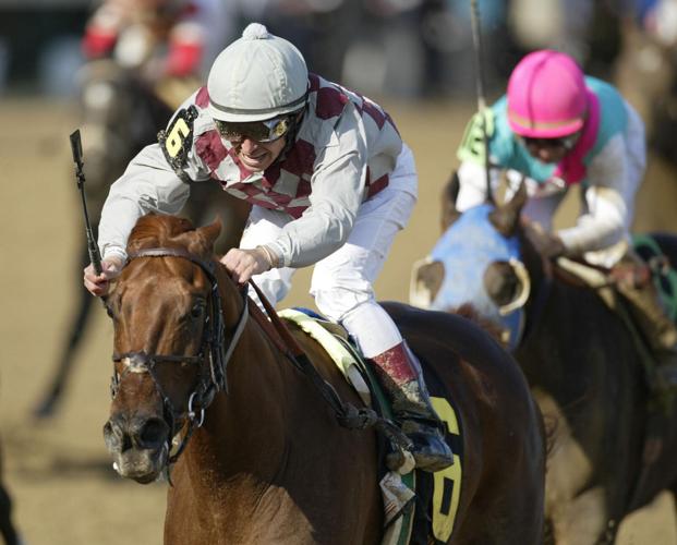 Funny Cide, the thoroughbred that put Sackets Harbor on the horse ...