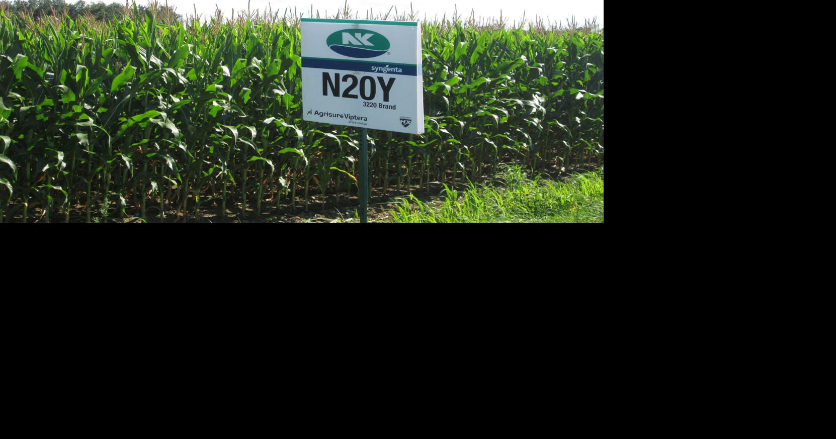 Seed signs tell a growing story of what’s out in the field | Arts and ...